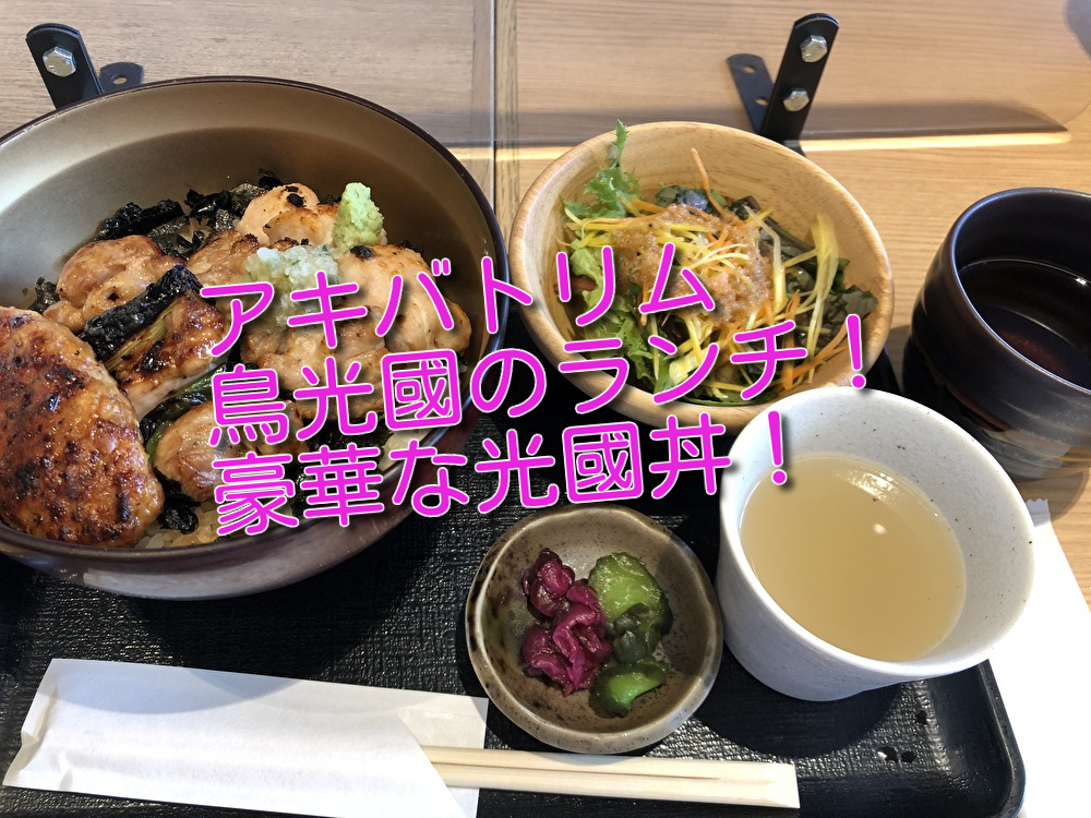 【秋葉原レポ】アキバトリム 鳥光國のランチ！豪華な光國丼をいただきました！