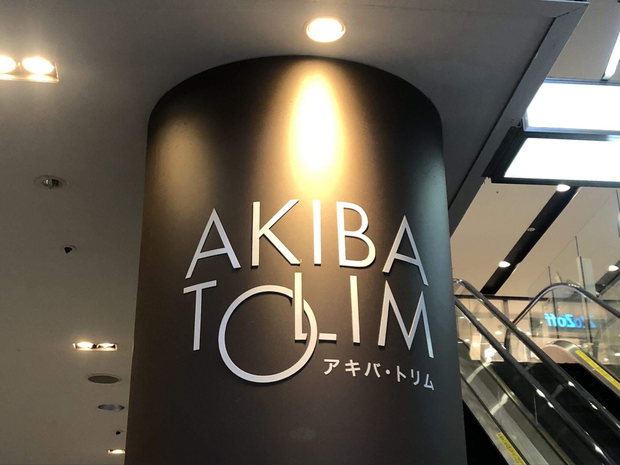 【秋葉原レポ】アキバトリム 鳥光國のランチ！豪華な光國丼をいただきました！